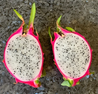 Fresh Red Frozen Dragon Fruit Cube So Sweet Good Quality In Vietnam For ...