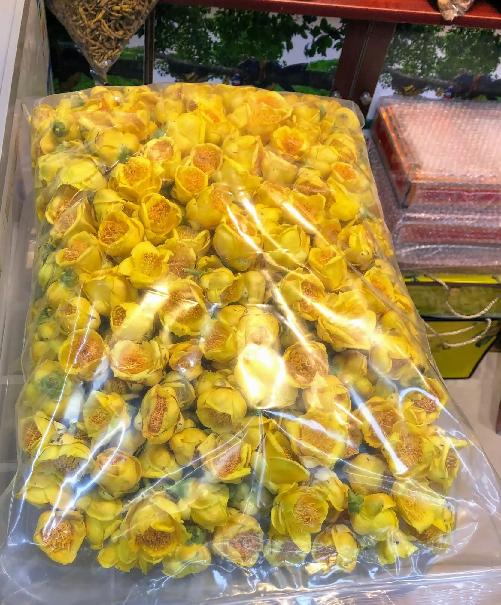 Wholesale Bulk Chrysanthemum Natural Dried Flower Bud Tea Yellow Fetal ...