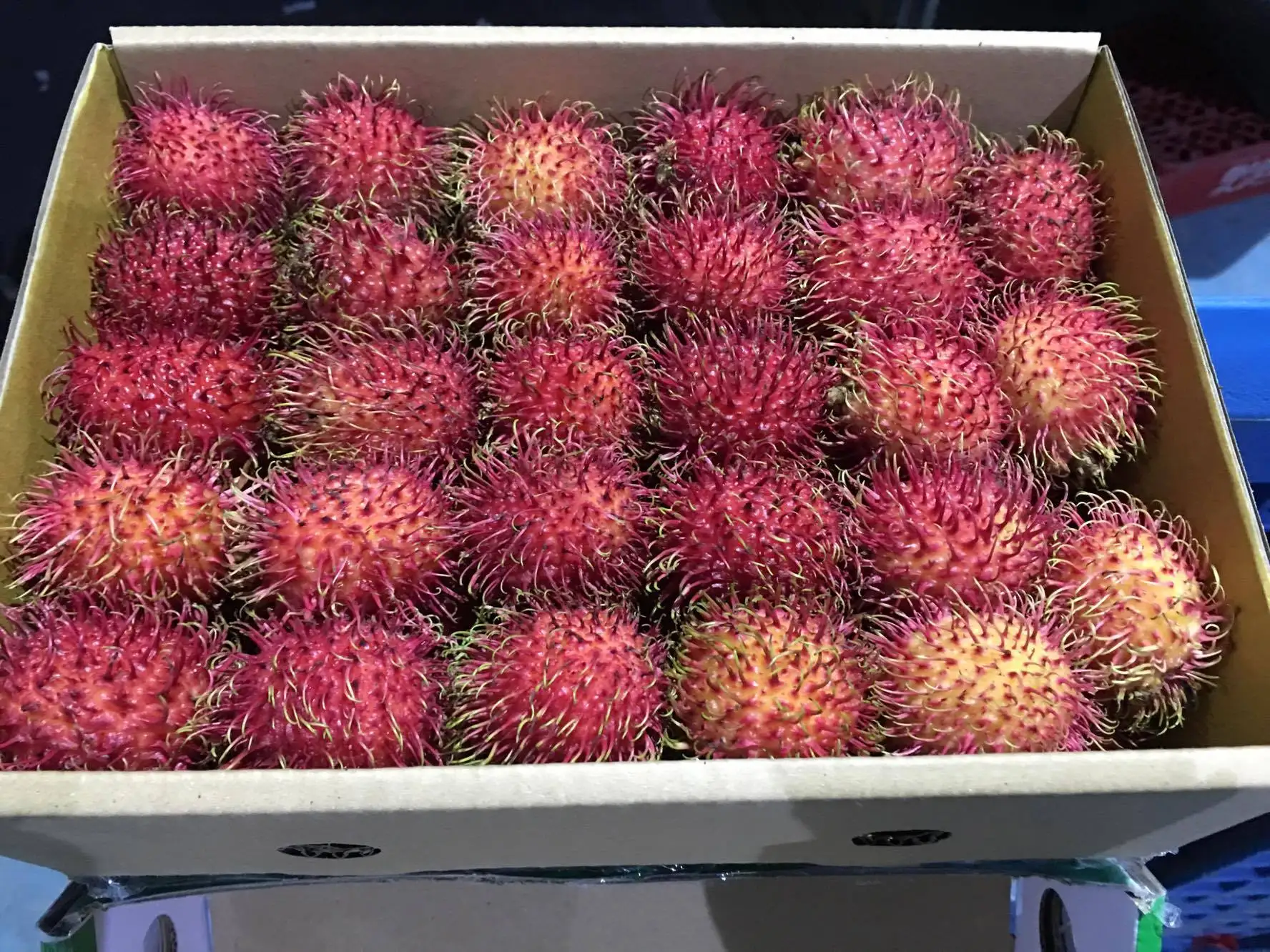 Shop Frozen Rambutan Fruit - Fast Delivery with Viet Delta