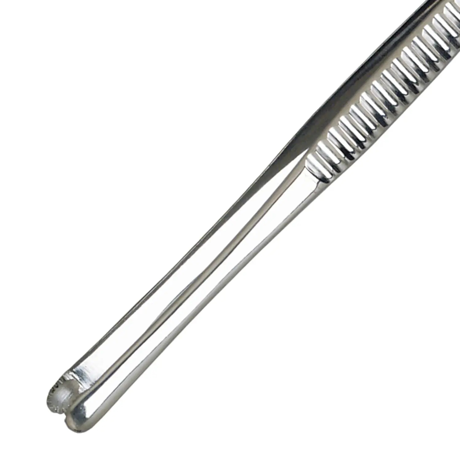 Stainless Steel Labtron Russian Tissue and Lung Dissecting Forceps by ...