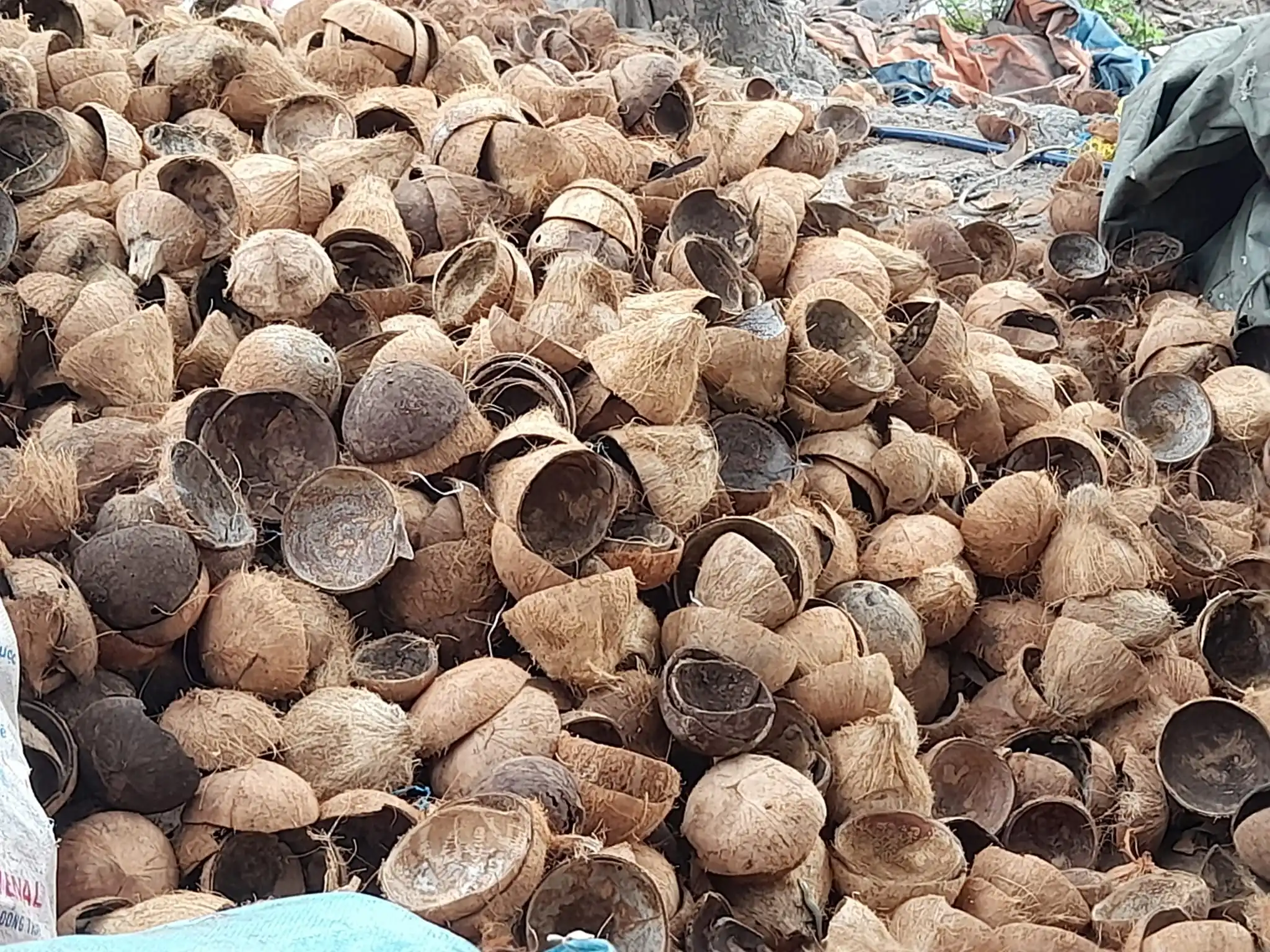 Coconut Shells,Crushed Coconut Shell Chips For Making Bbq Charcoals ...