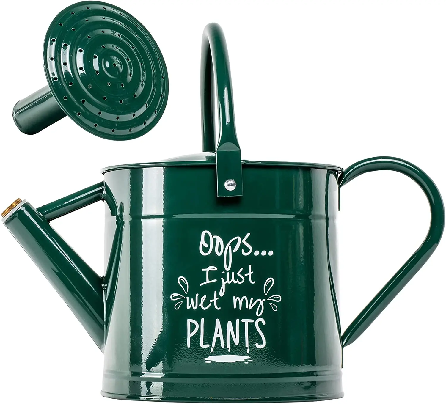 Green Finished Steel Watering Can - Cute Style for Gardening