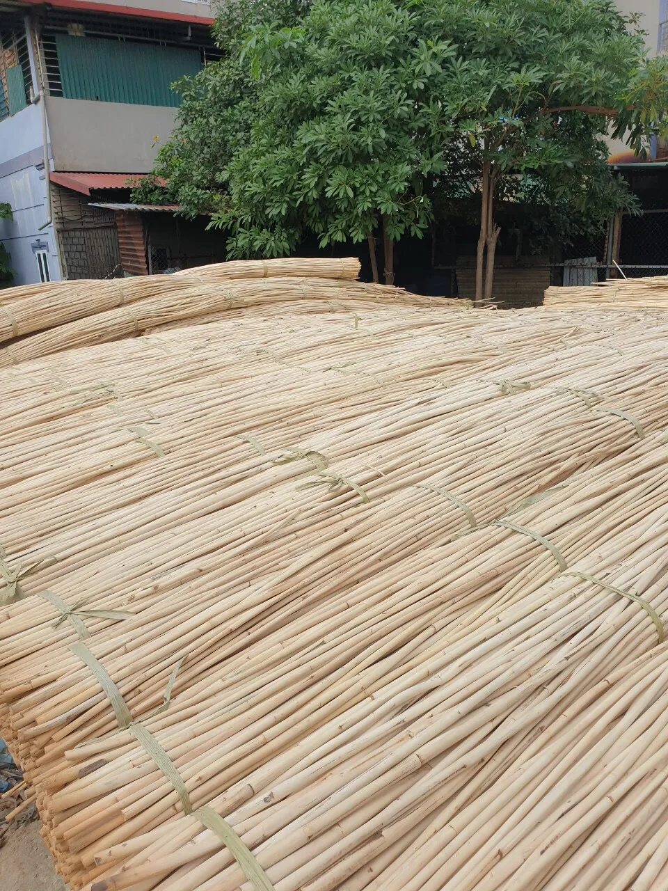 Flexible Rattan Cane White Color Bulk Packing 50KG Rattan Core for Sale ...