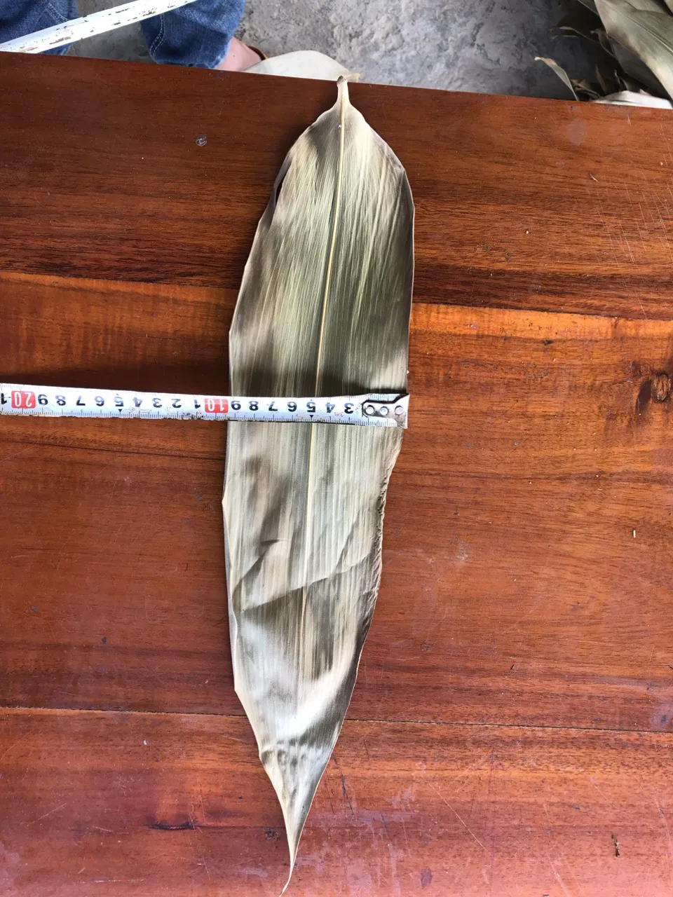 Wholesale Natural Organic Raw Dried Bamboo Leaves Vietnam Original Wild ...