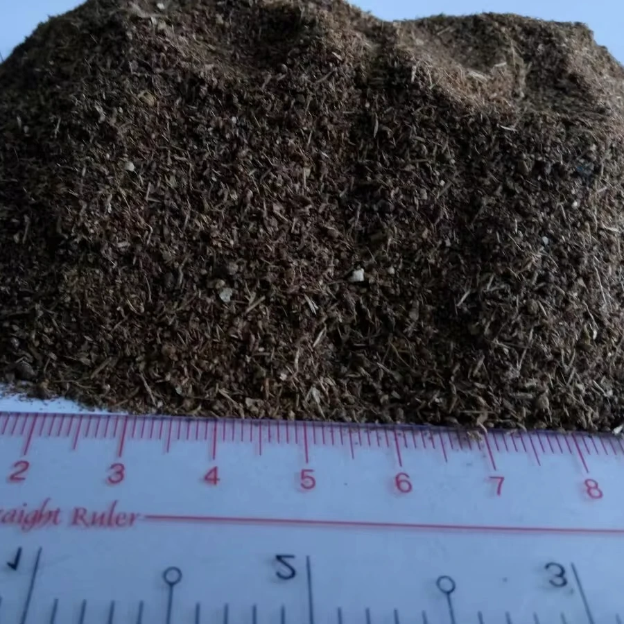 Molasses Pellets for Cattle Feed Production - Quality Animal Feed ...