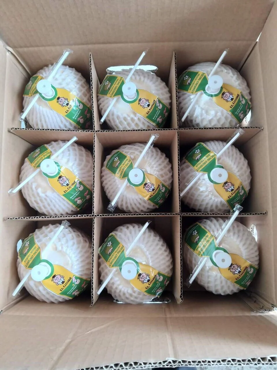 Carton Package Peeled Diamond Coconut Fresh Young Diamond Coconut with ...