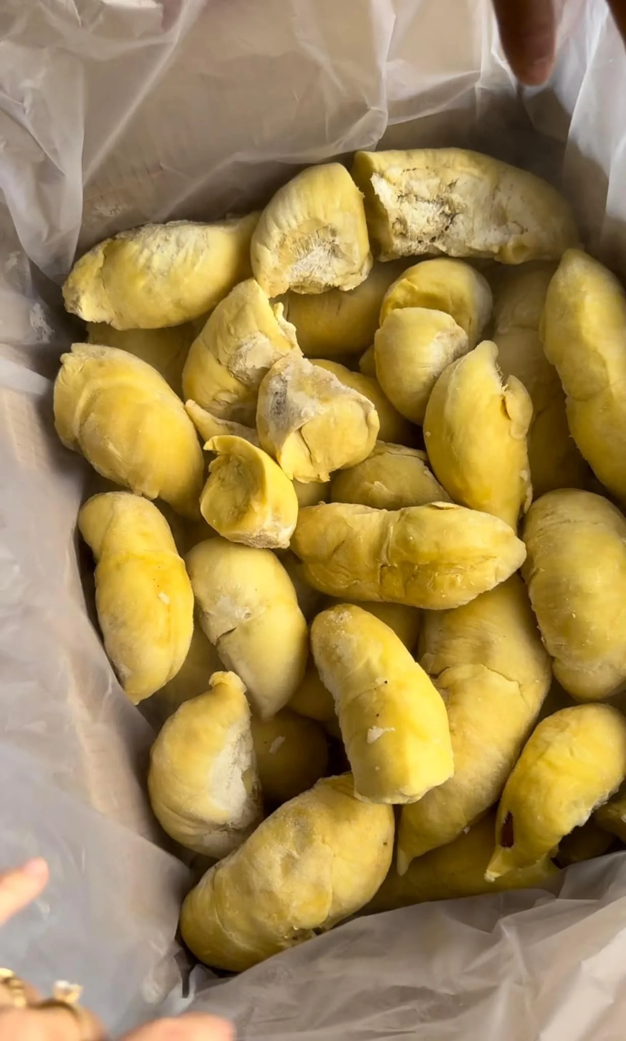 Whole Frozen Durian Ri6 Tropical Fruits Delicious Fruit - Buy Frozen ...