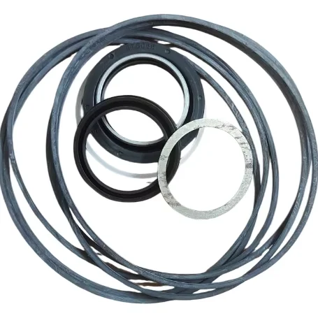 Hydraulic Motor Repair Seal Kit JBT 620-1428-090 / SK000090 Hydraulic ...
