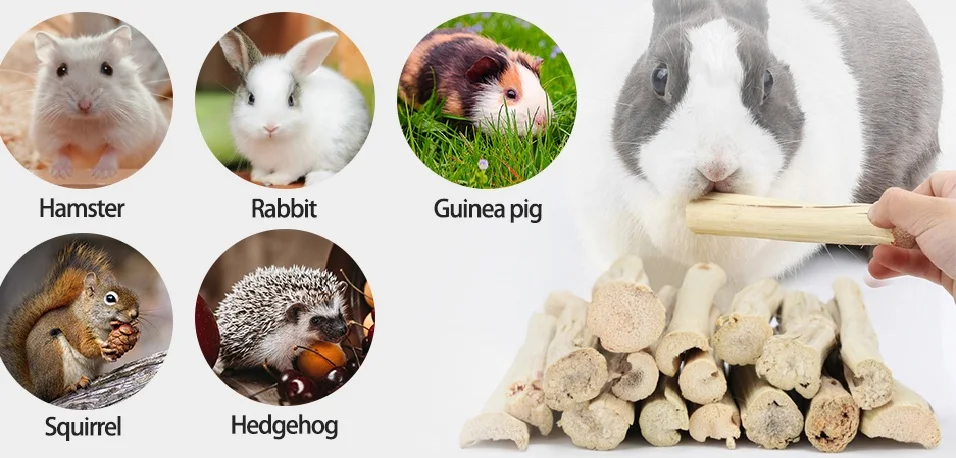 Chewable Dried Sugarcane for Rabbits - Natural Pet Food