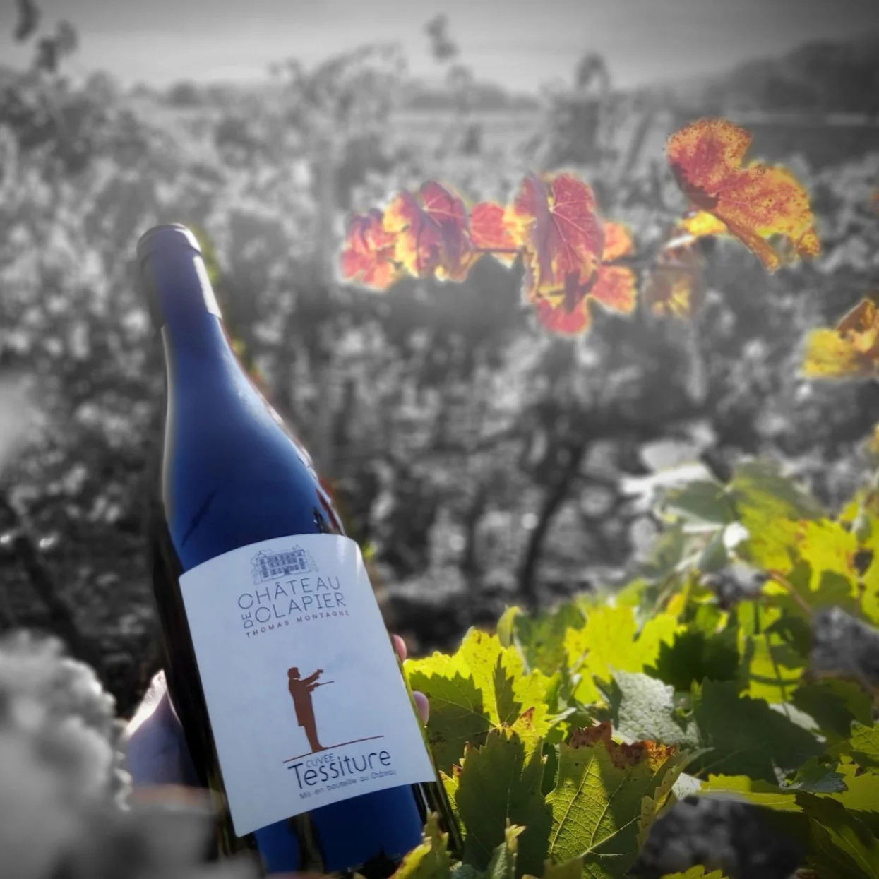 Chateau De Clapier 2020 Cuvee Tessiture 750ml High Quality French Red ...