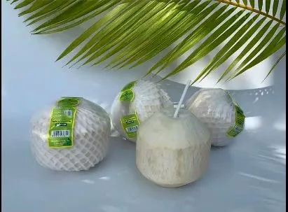 Carton Package Peeled Diamond Coconut Fresh Young Diamond Coconut with ...