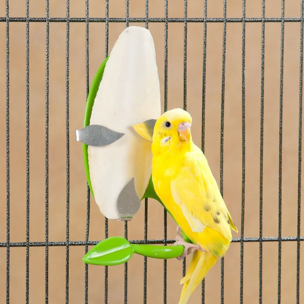 Dried Cuttlefish Bone In Vietnam Have High Quality And Variety Size ...