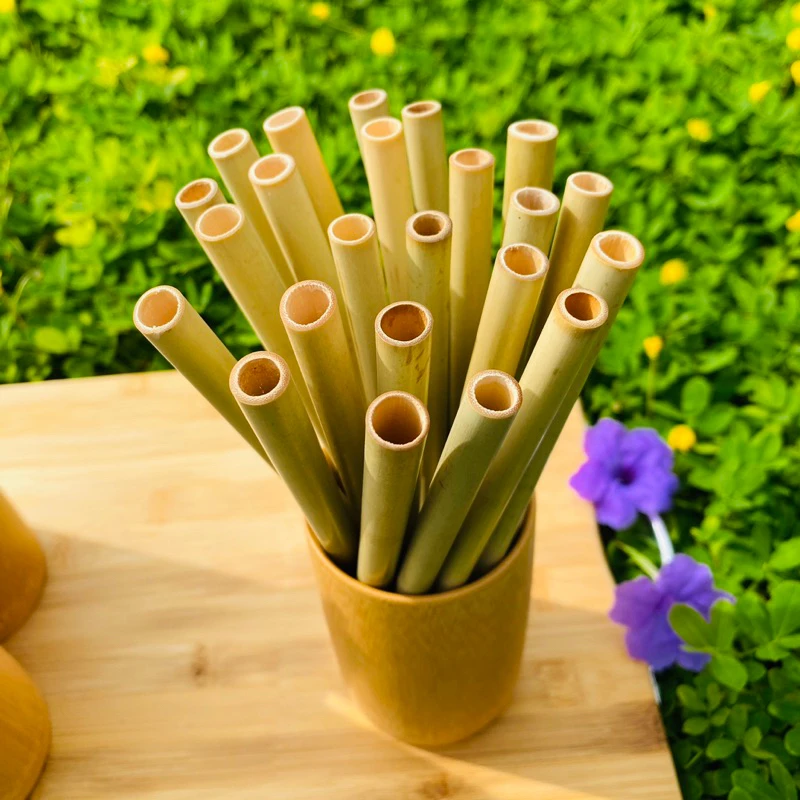 Best Natural Eco-friendly Bamboo Straws Made In Vietnam / Environmental ...
