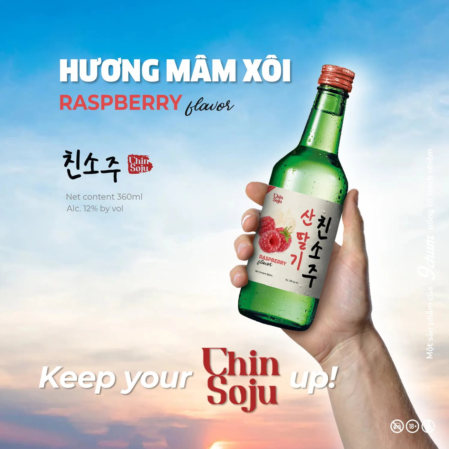 Various Fruit Flavour 360ml Brand Chin Soju Shochu With High Quality ...