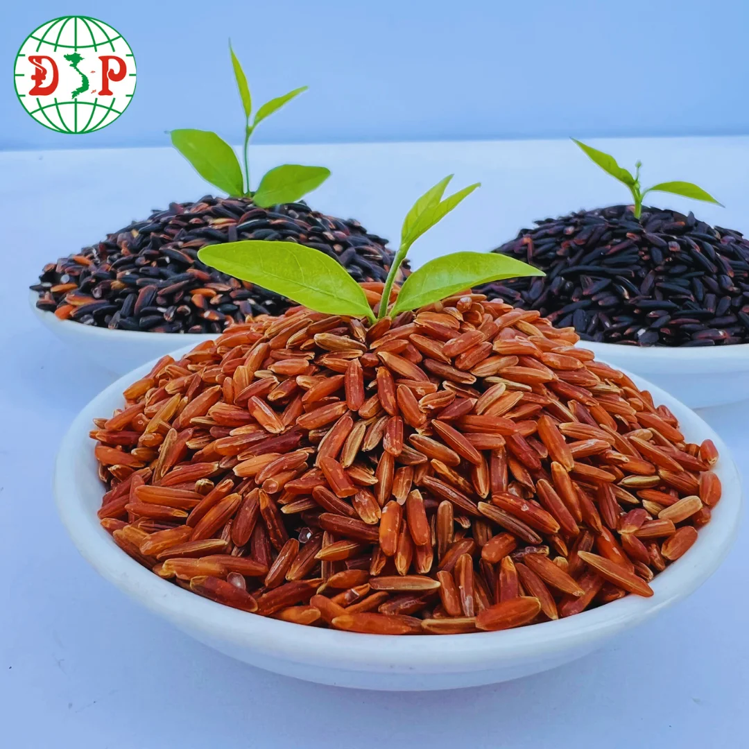 Whole New Red Rice From Viet Nam Cheap Price New Crop Ready To Export ...
