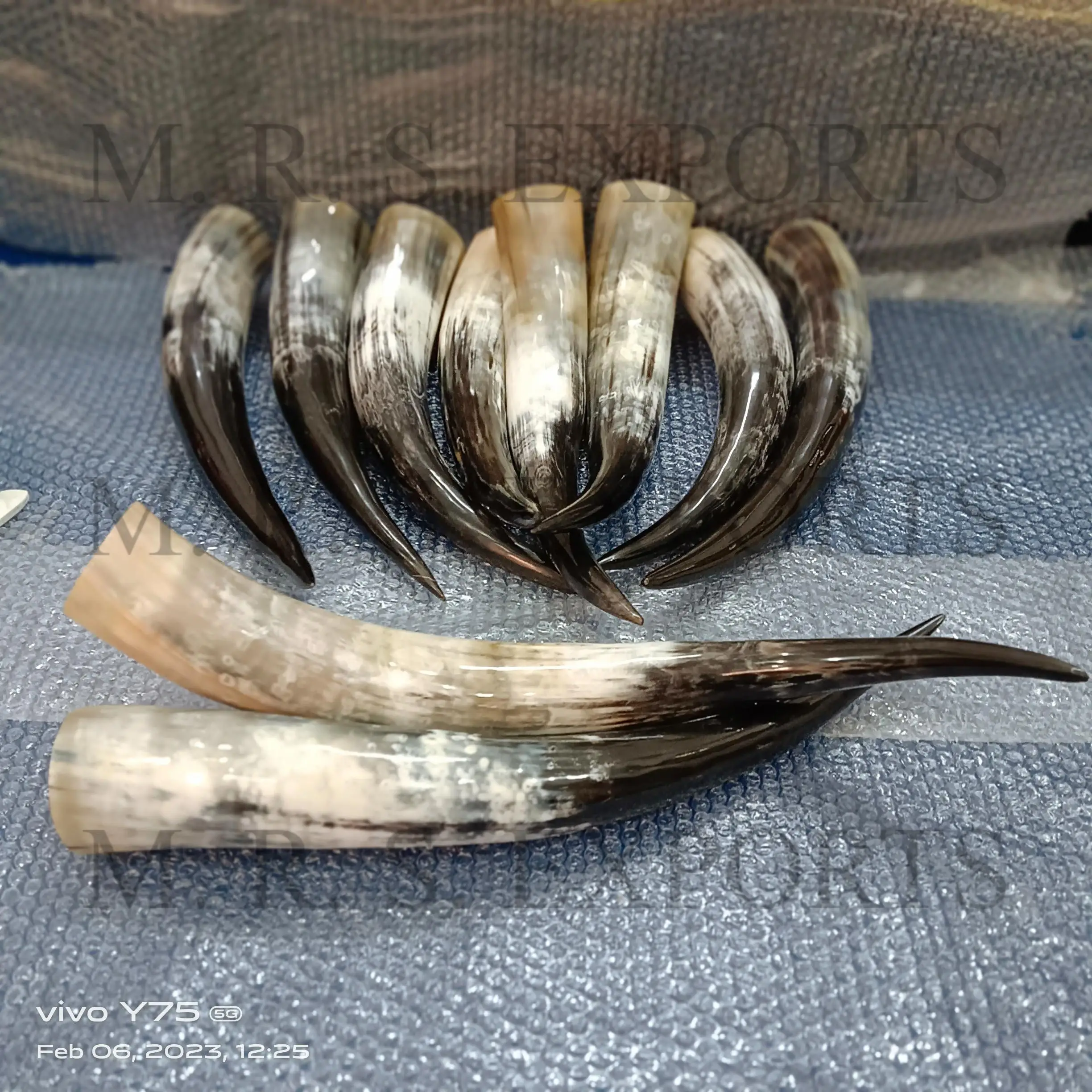 2024 New Design Ox Horns Viking Drinking Horns Food Safe Polished Glass ...