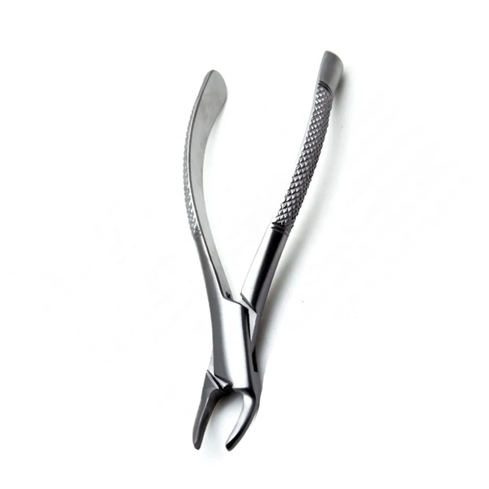 Dental Extracting Forceps No 150 - Surgical Precision