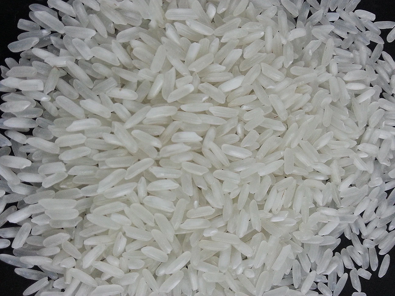 Extra Long Grain Perfume Rice Available In 5 Kg 10 Kg And 20kg Bags ...