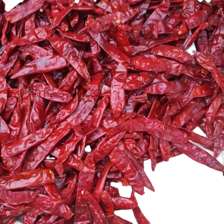 Teja Red Chilli Without Stem Available For Export - Buy Red Bullet ...