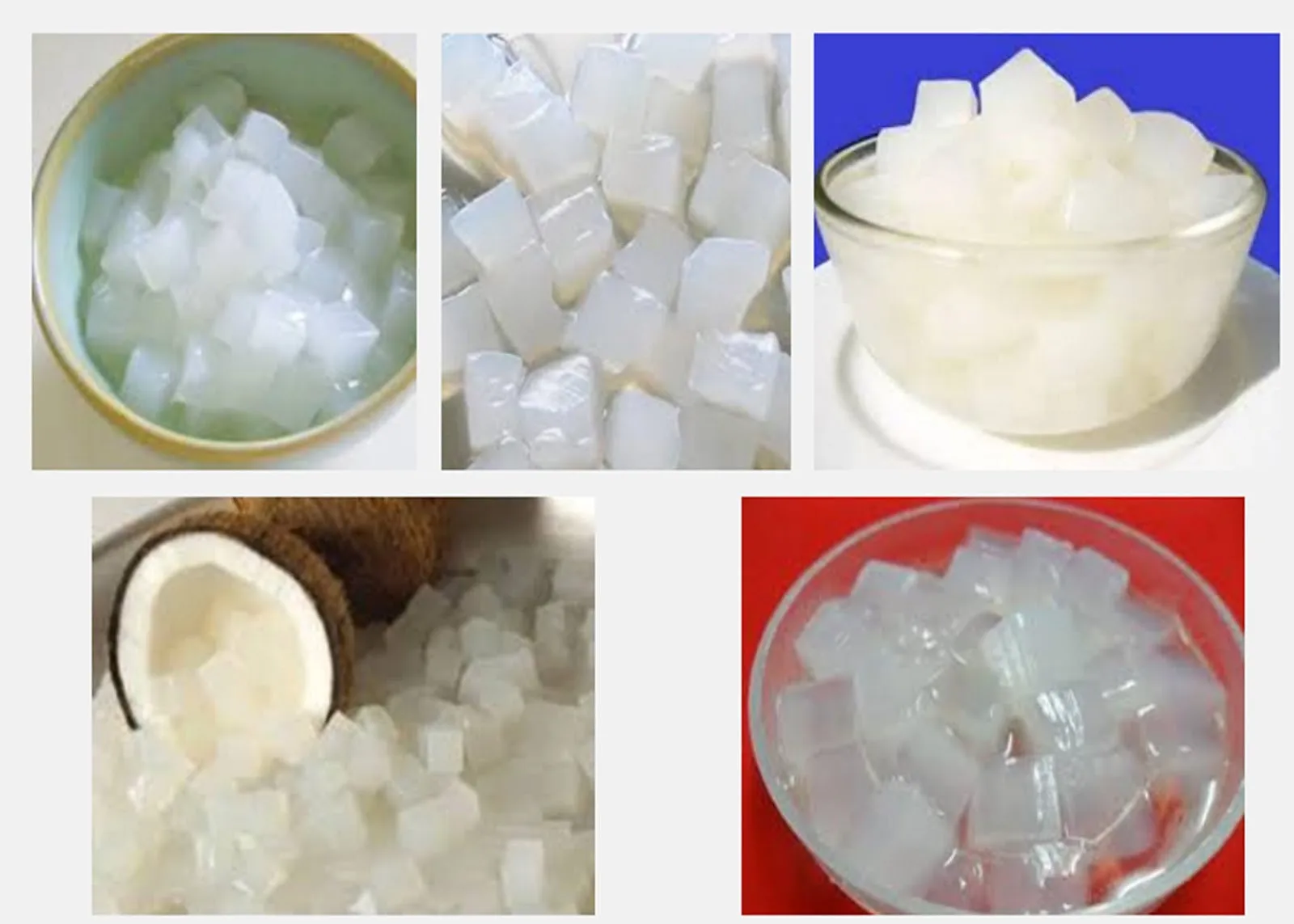 PREMIUM NATA DE COCO FROM VIETNAM | DELICIOUS COCONUT JELLY CUBES FOR ...
