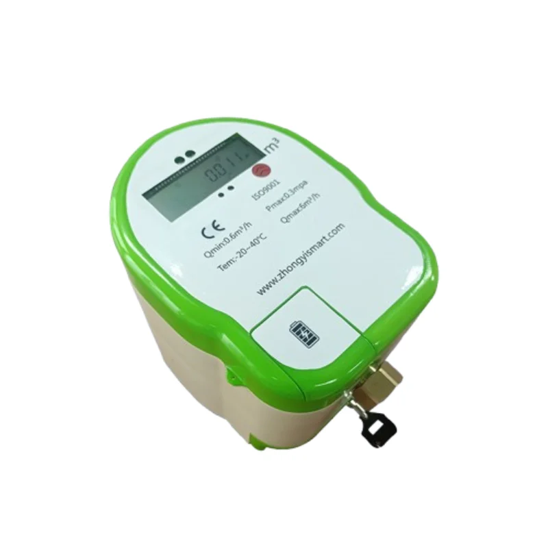 Lorawan NB-IoT GPRS Gas Meter High-Tech Smart LPG Meter for Efficient ...
