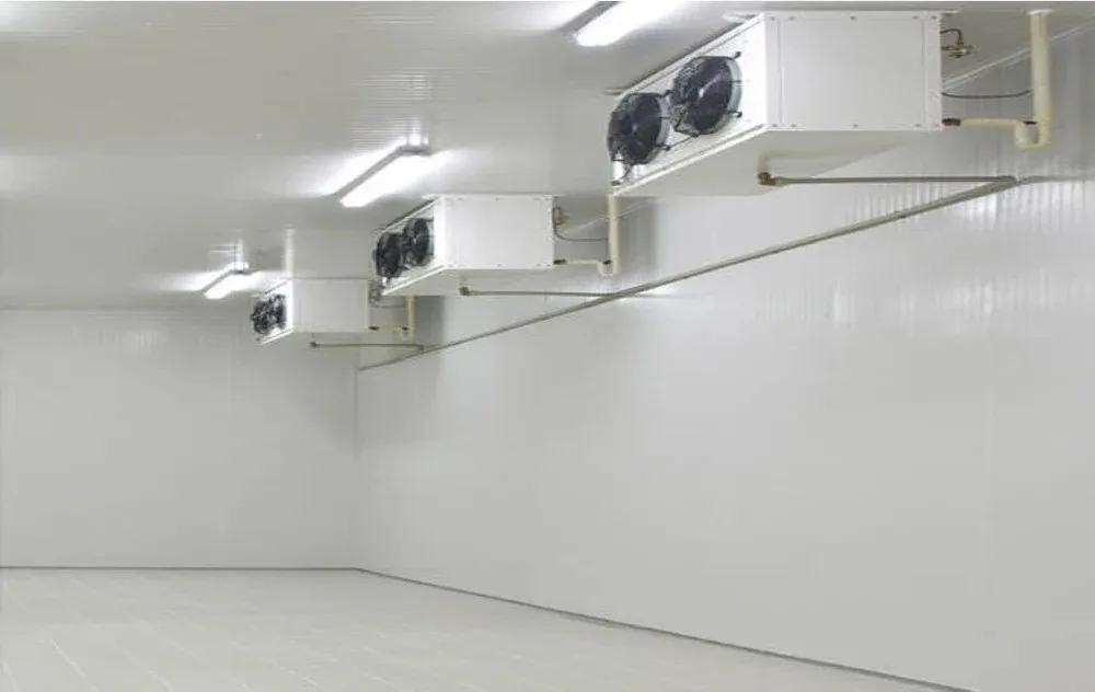 Customized Fruit Cold Storage Warehouse Cost Cold Store Machine 100 ...