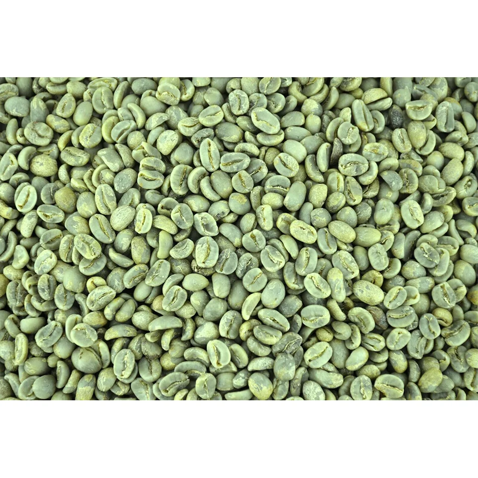 High Quality Green Arabica Coffee Beans Competitive Price Packed From ...