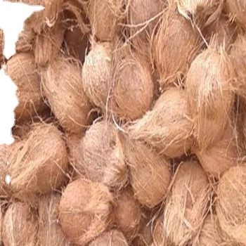 Fresh Semi Husked Coconut Available For Sale - Buy Fresh Mature Coconut ...