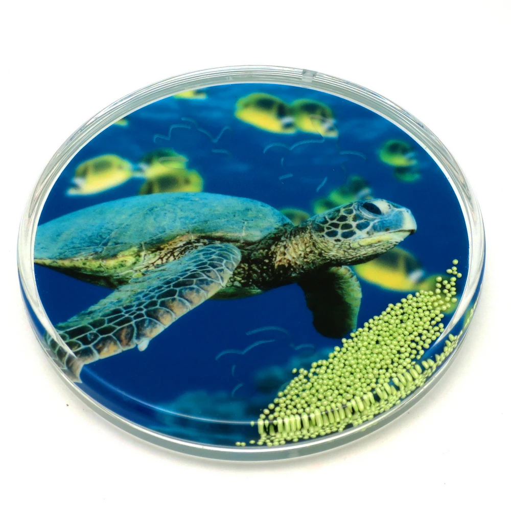 Sea Life Liquid Filled Acrylic Paperweight, Starfish with Floating ...