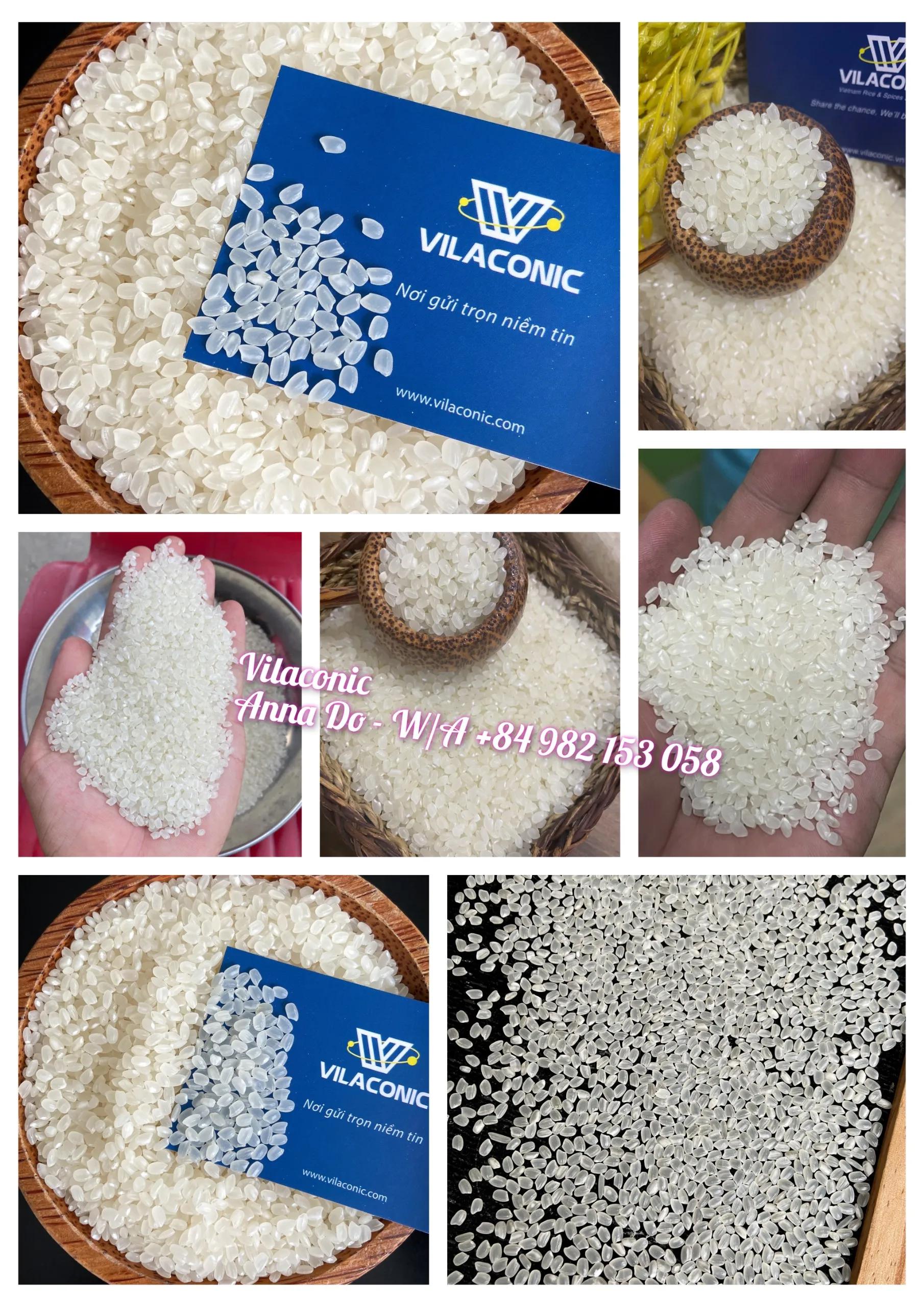 White Rice Calrose Medium Grain - Egyptian Camolino Rice / Medium Grain ...