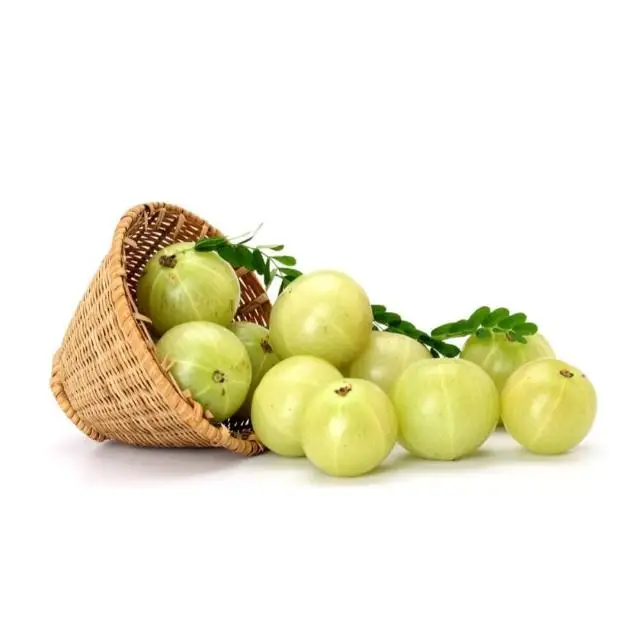 100% Organic Whole Amla Indian Gooseberry Buy At Wholesale Price 100% ...