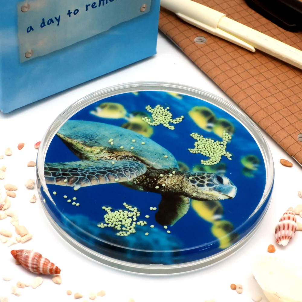 Sea Life Liquid Filled Acrylic Paperweight, Starfish with Floating ...