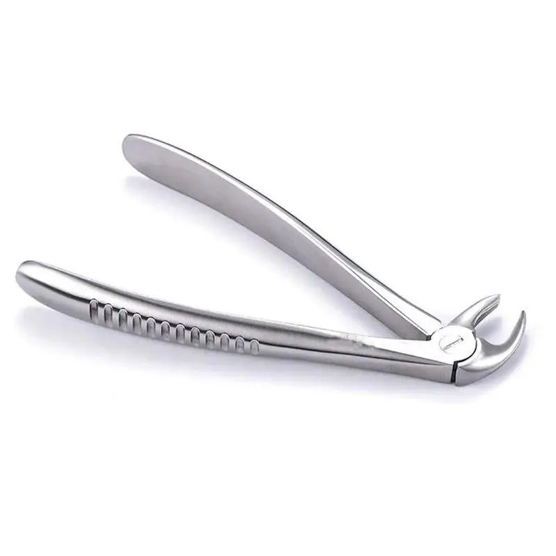 Dental Extraction of Upper Premolar Teeth Extracting Forceps, Surgical ...