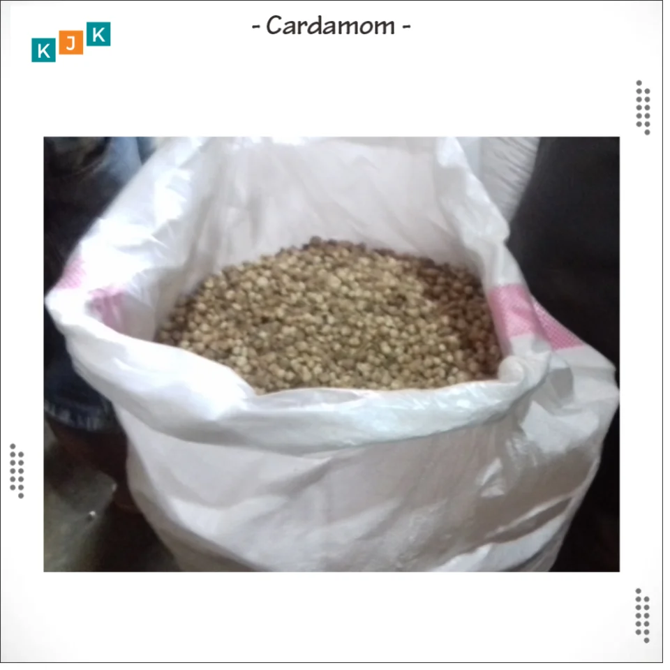 High Quality Cardamom For Export From Indonesia - Buy White Cardamom ...