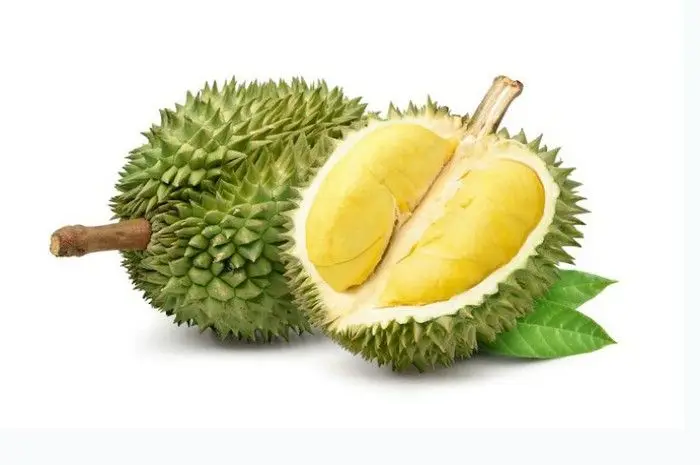 Fresh Durian Monthong Golden Pillow Durian - Buy Durian Fresh Durians ...