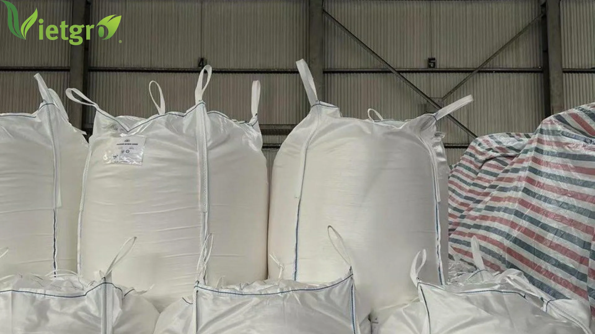 Wholesale High Quality Dolomite Powder - Vietnamese Supplier - Calcium ...