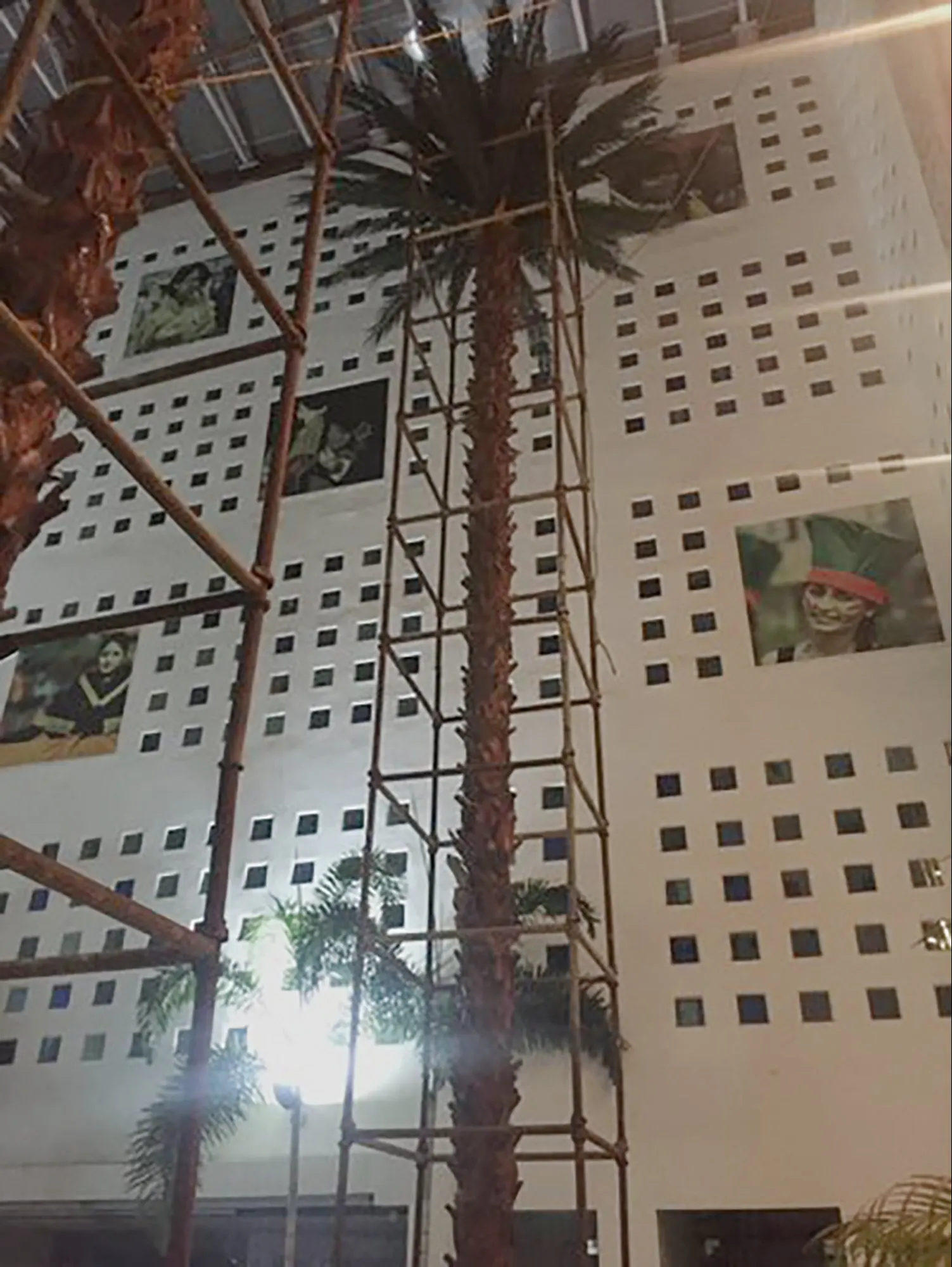 Wholesale Artificial Big Date Palm Tree With Natural Preserve Leaf For ...