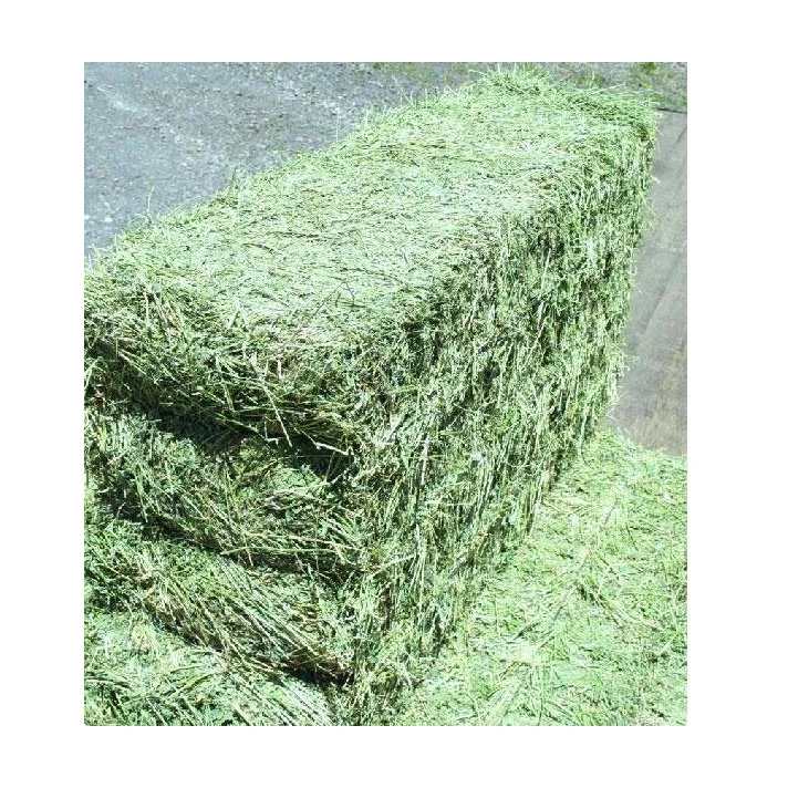 Hay Animal Feeding Stuff Alfalfa | hay/alfalfa hay pellets Timothy Hay ...