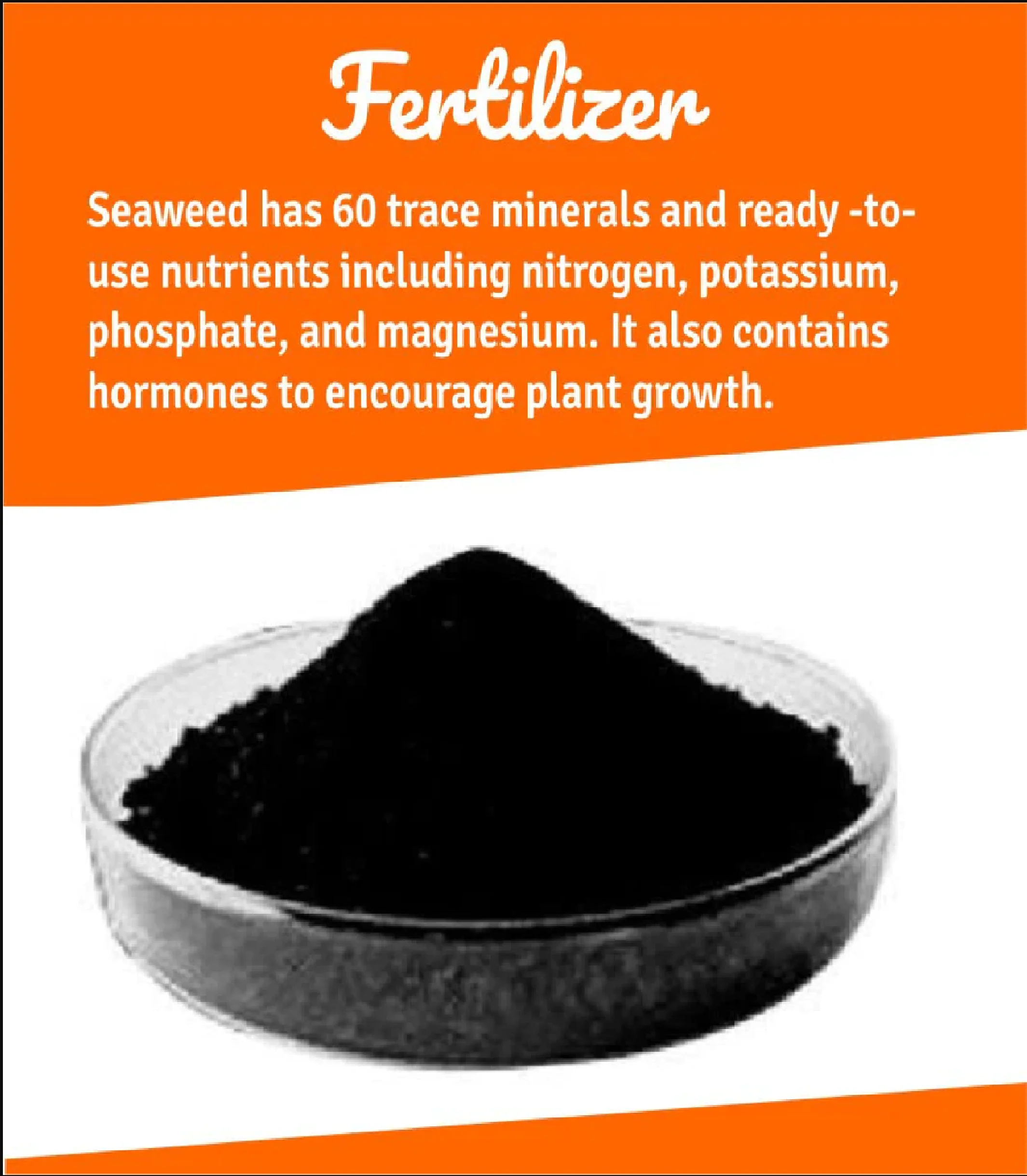 Hot Sell 2023 Seaweed Fertilizer Extract Powder for Field and ...
