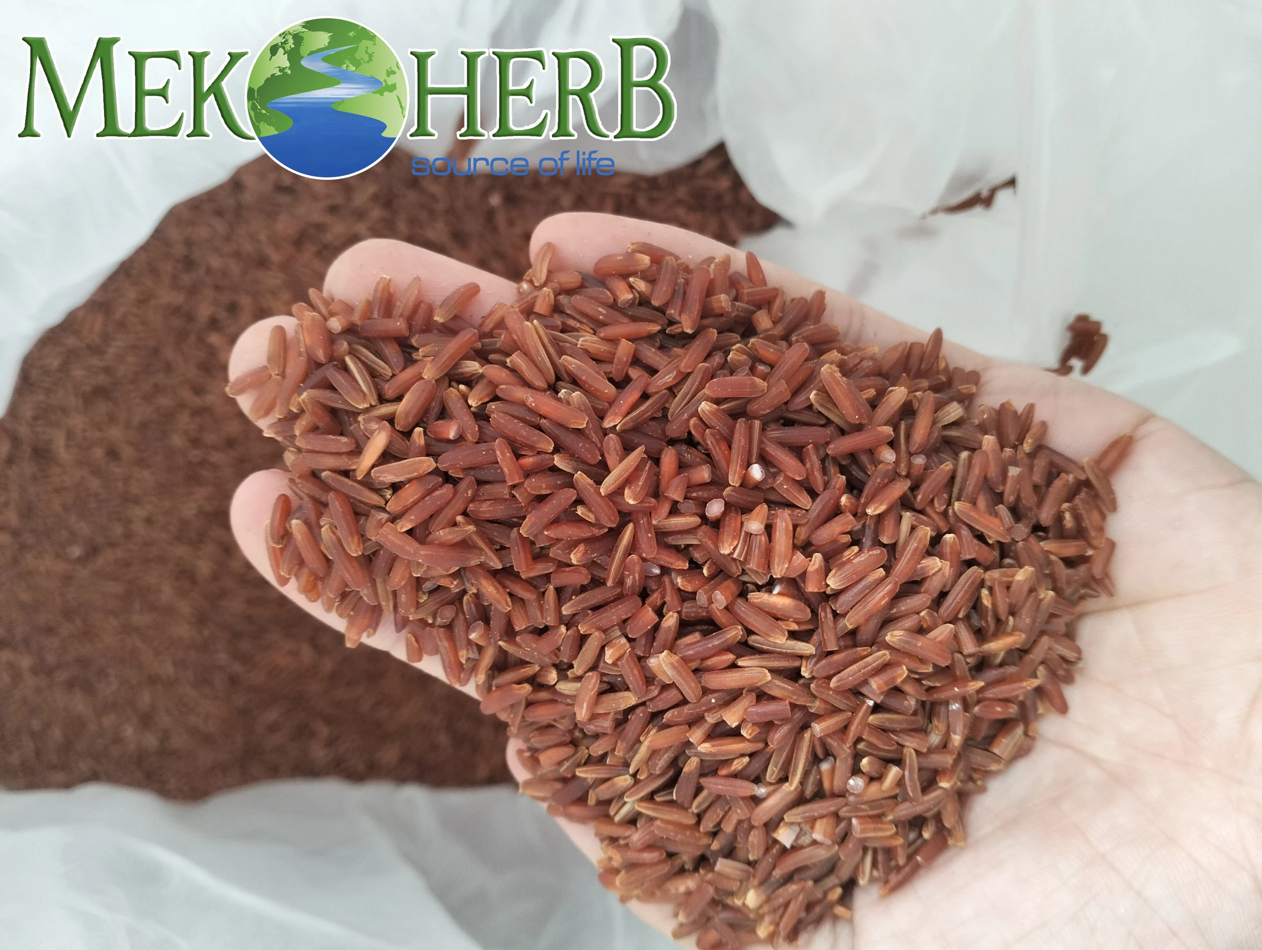 BROWN RICE MANG but FROM MEKONG HERBALS VIETNAM (100% NATURAL BROWN ...