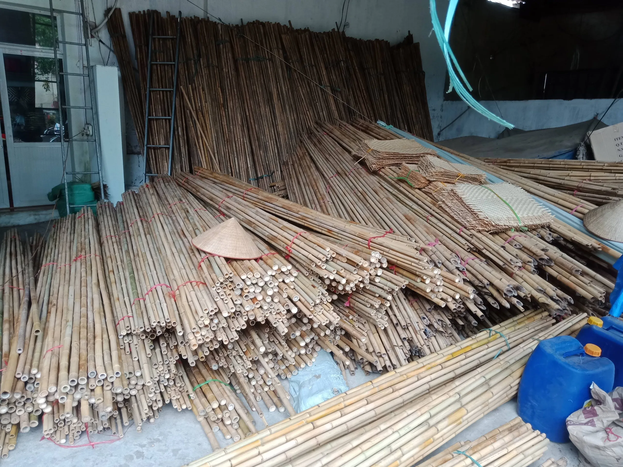 Import Bamboo Cane from Vietnam - Competitive Price & Quality