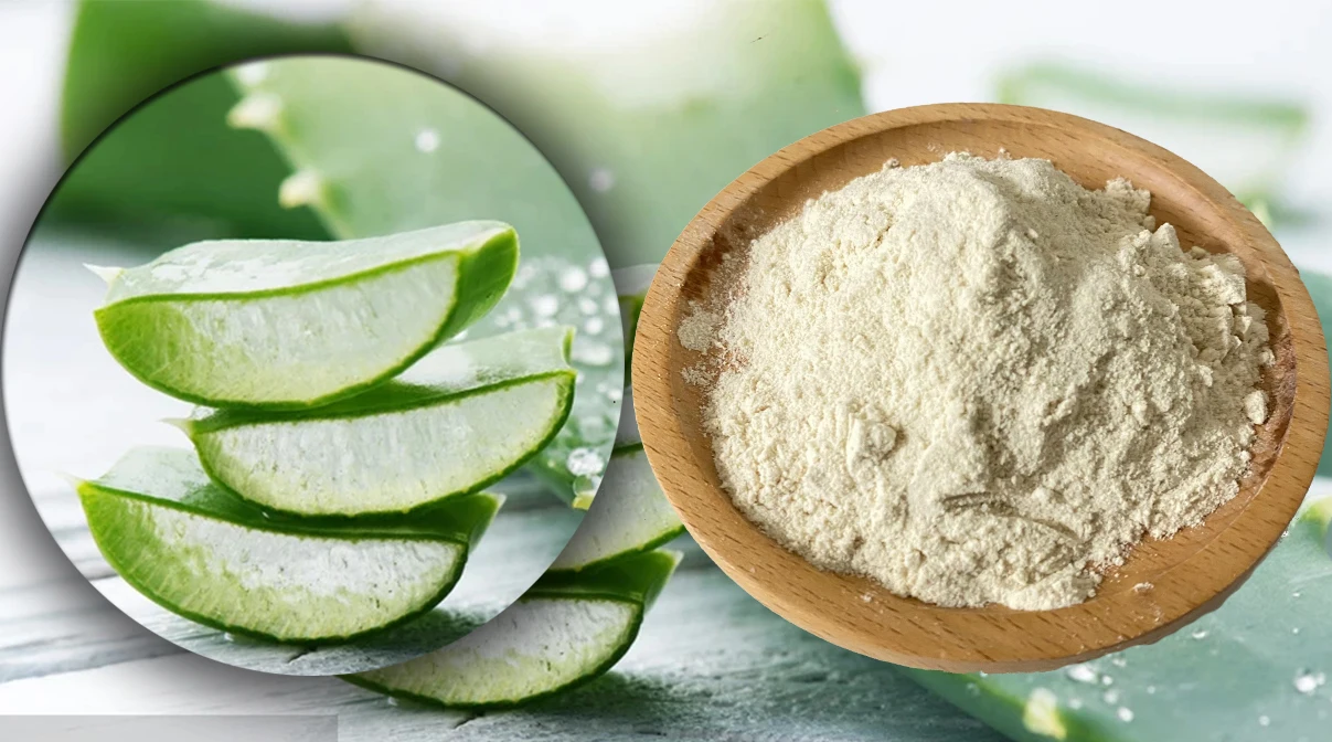 Wholesale Pure Aloe Vera Leaf Extract Natural Aloe Vera Gel Freeze ...