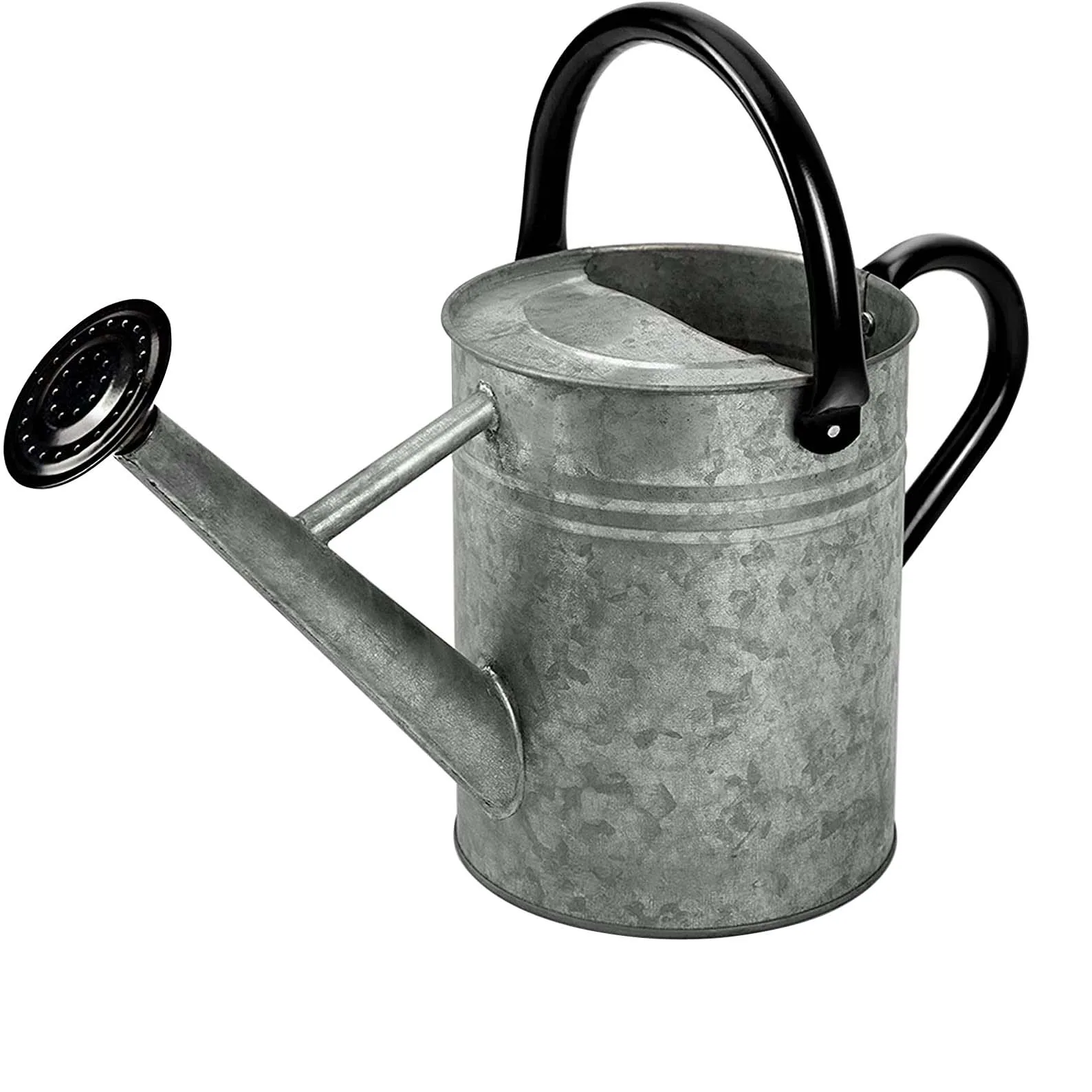 Garden Supplies Cane Royal Designer Metal Planer Water Cane Water ...