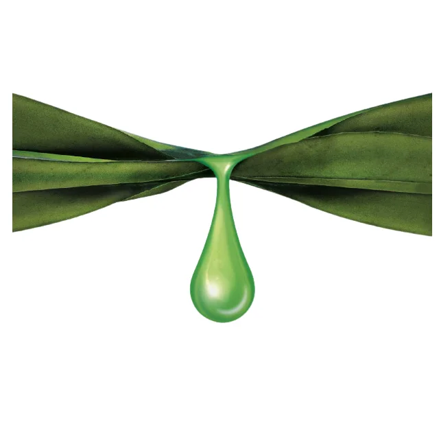 Kelpak Liquid Seaweed Extract - Best for Crop Growth