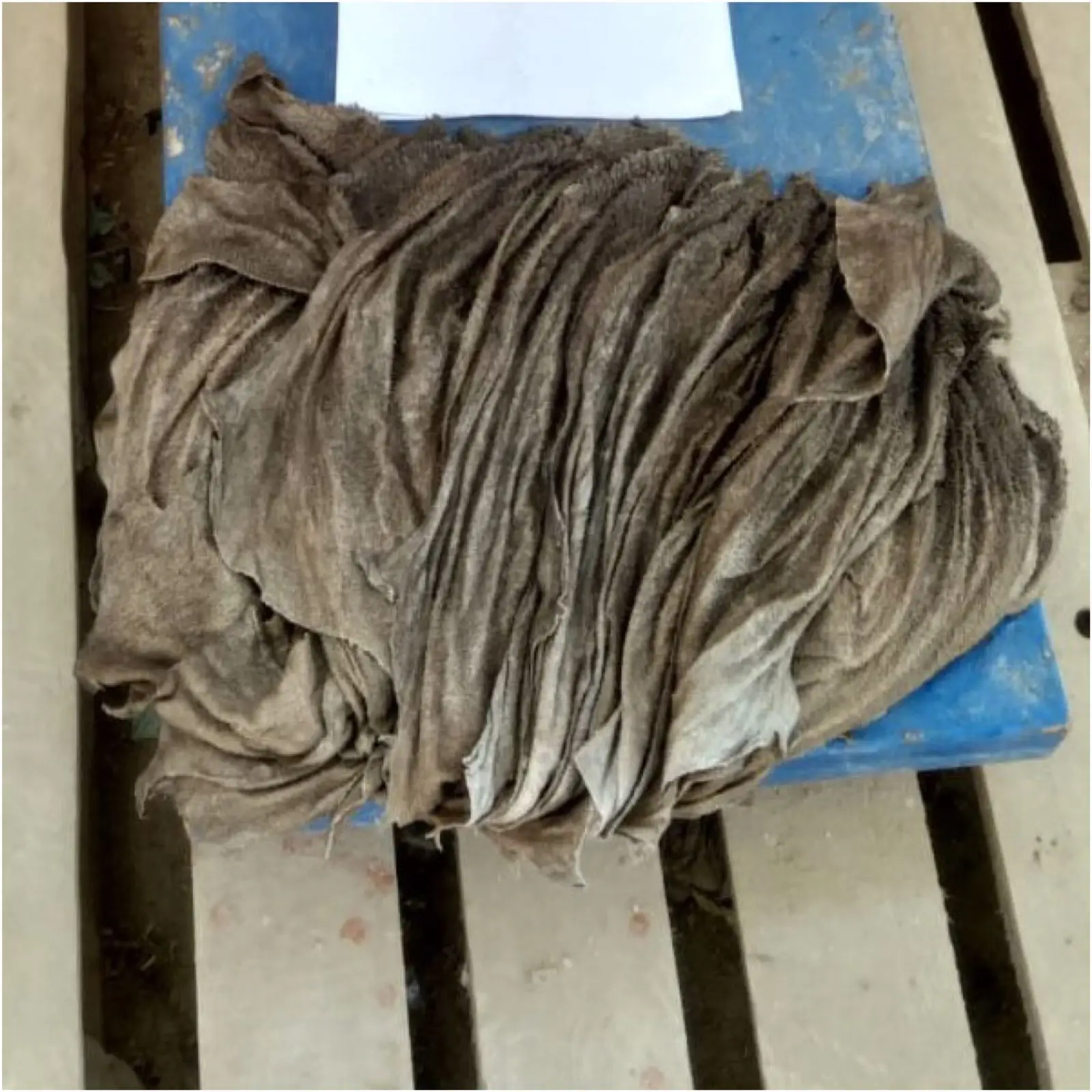 Best Grade Fresh Dry Salted Beef Omasum Halal Beef Salted Beef Omasum Buffalo Omasum Cow Cleand ...