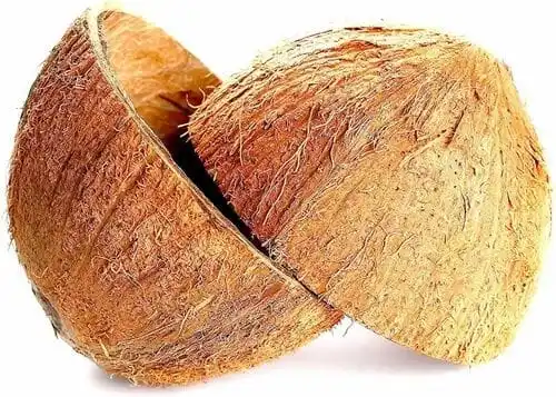 Premium Coconut Shells Agricultural Waste Best Price Export Quality ...