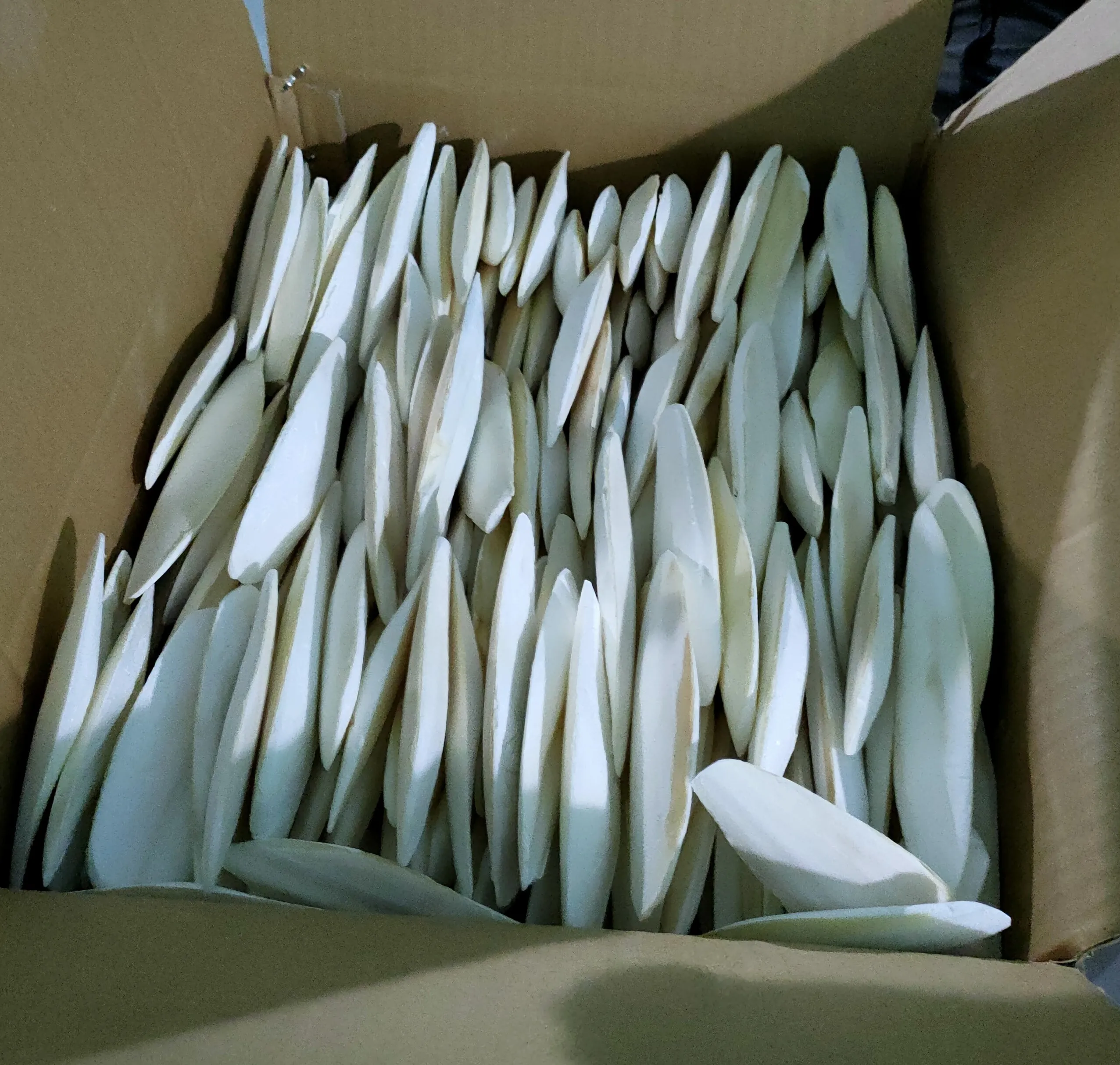 Natural Trimmed Cuttlefish Bone For Birds Feed And With Best Price For ...