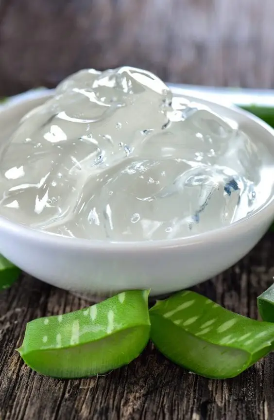 VIETNAMESE FROZEN ALOE VERA - High Quality & Competitive Price