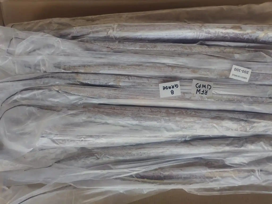 冷冻全丝带鱼b级iwp包装优质材料价格合理 - Buy 鲯鳅鱼带鱼整个,价格对带鱼冷冻鲯鳅鱼,带鱼价格b级带鱼 Product on ...