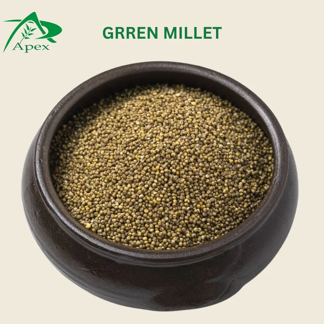 Green Millet (Pennisetum Glaucum) Pearl Millet Bulk Millets Supplier ...